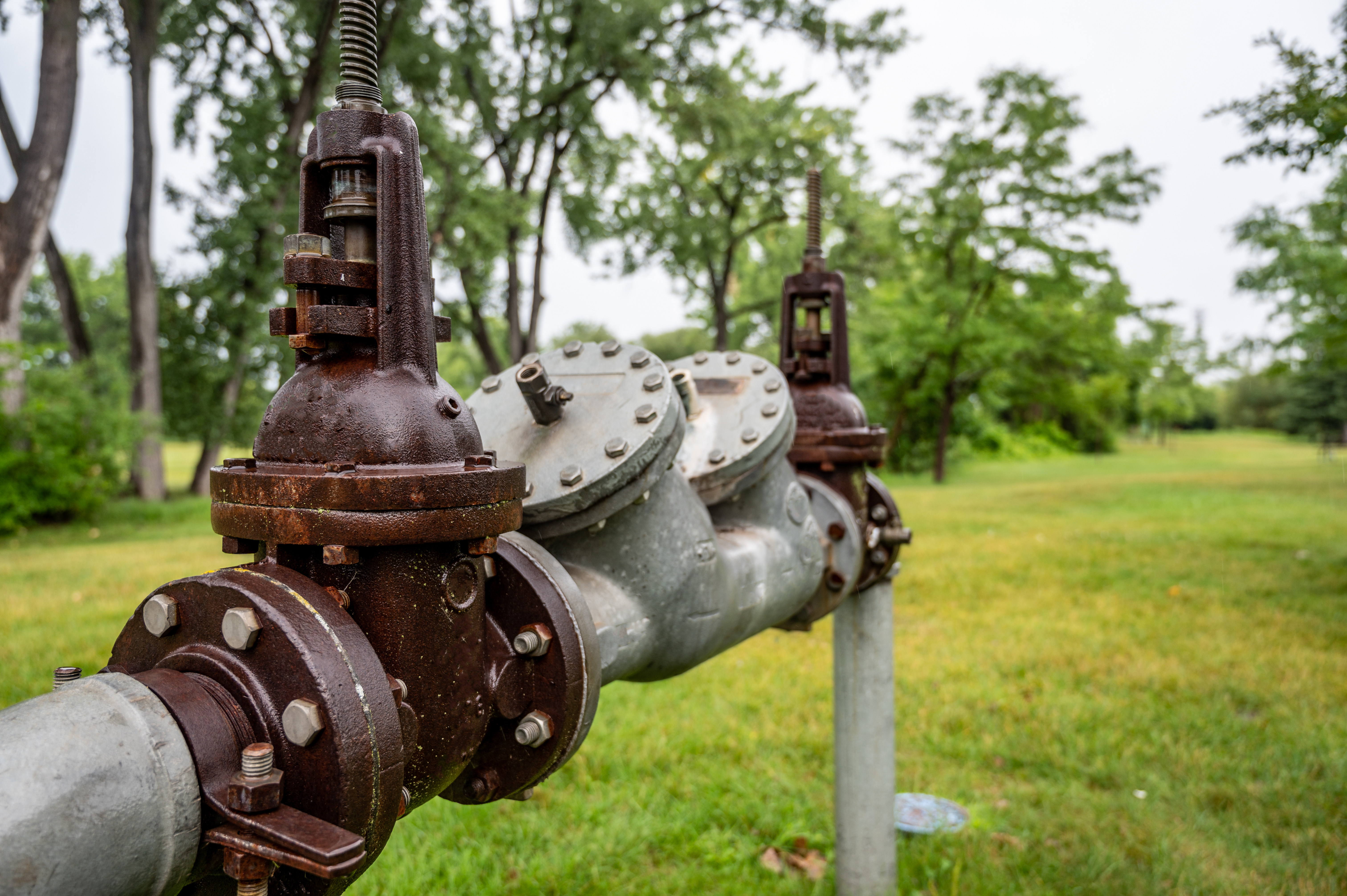 Backflow 360: What You Need to Know